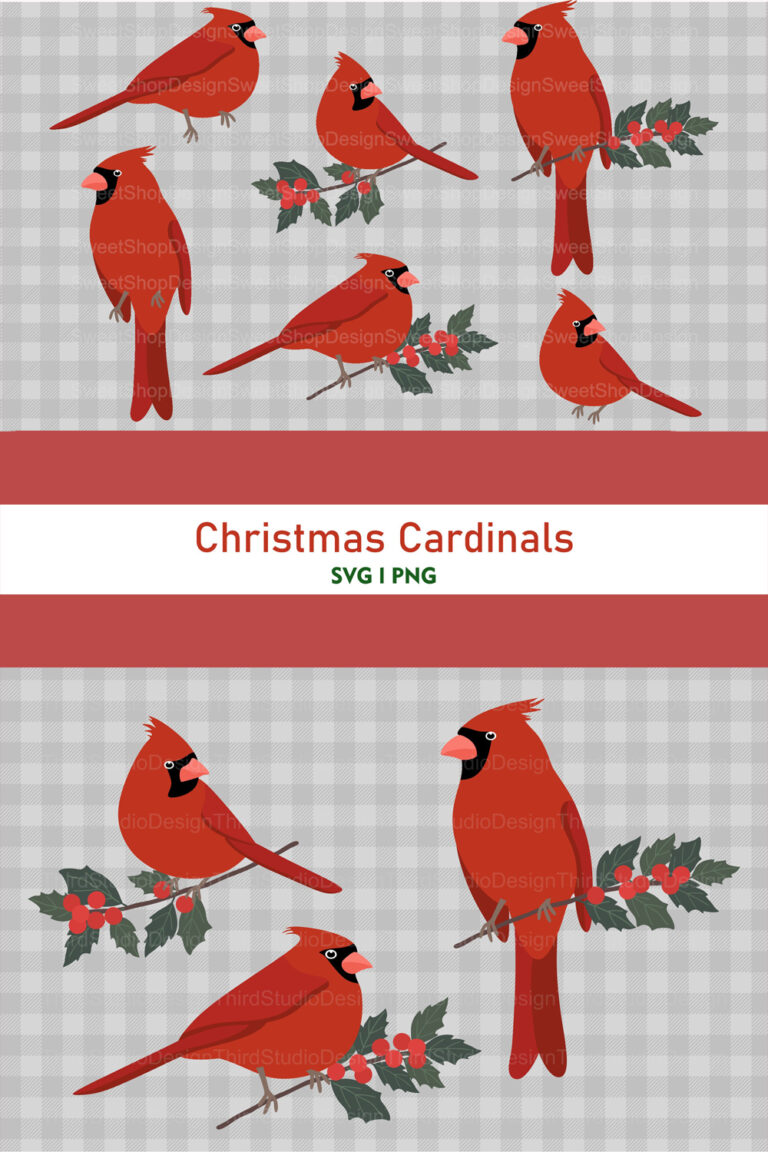 Cardinal Bird Svg Bundle Memorial Svg – MasterBundles