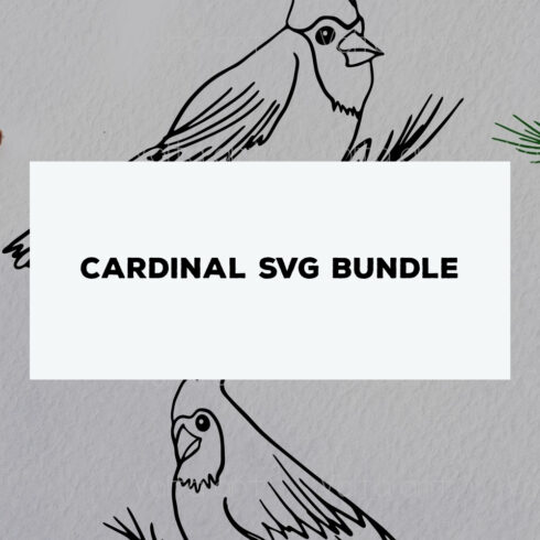 Cardinal On Branch Svg Bundle | Master Bundles