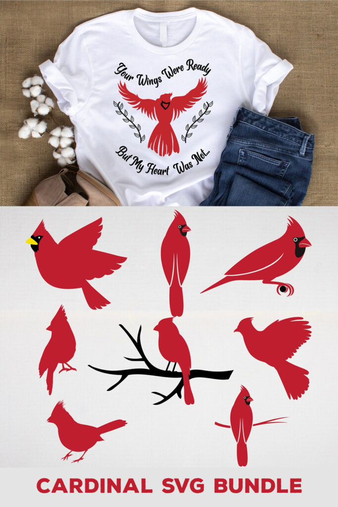 Cardinal SVG Bundle Cardinal Silhouette – MasterBundles