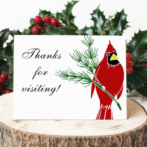 Cardinal On Branch Svg Bundle | Master Bundles