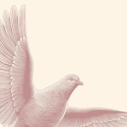 Design Set Pigeons Vector Engraving | Master Bundles