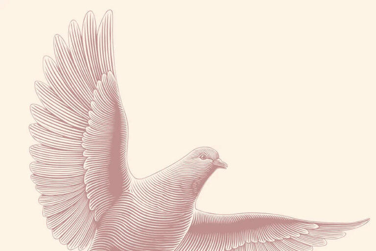 Design Set Pigeons Vector Engraving – MasterBundles