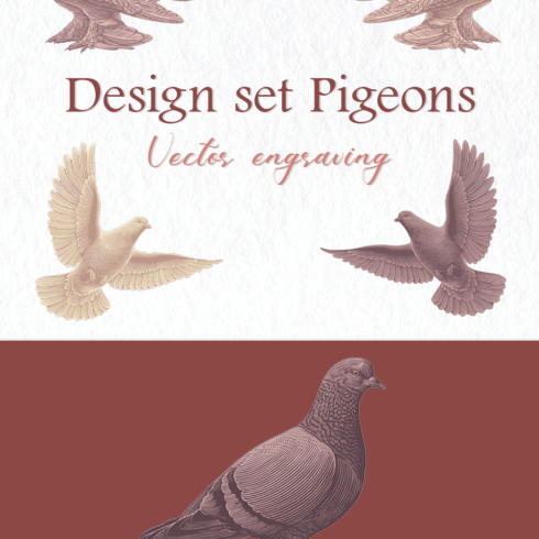 Design Set Pigeons Vector Engraving | Master Bundles