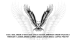 Eagle Attacks SVG – MasterBundles