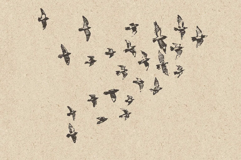 Flocks of Birds, Sketch Style – MasterBundles