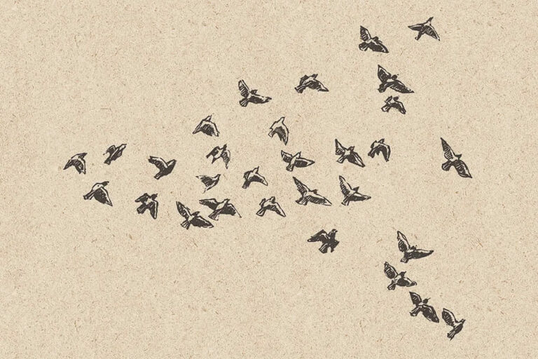 Flocks of Birds, Sketch Style – MasterBundles