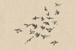 Flocks of Birds, Sketch Style – MasterBundles