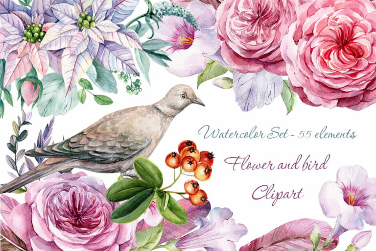 Flower and Bird Clipart Watercolor – MasterBundles