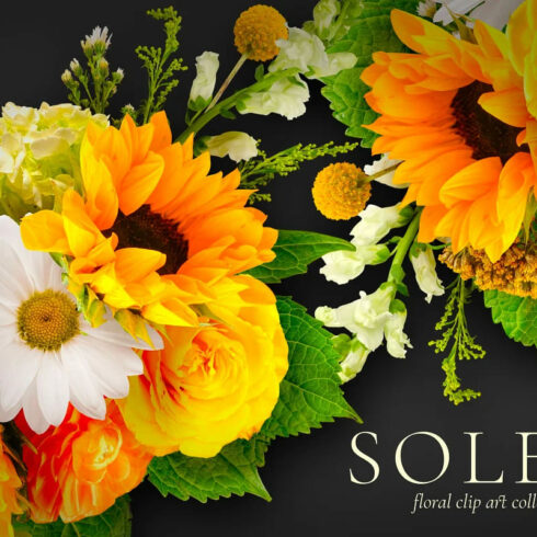 Flower Power Mega Bundle Vol 4 | Master Bundles