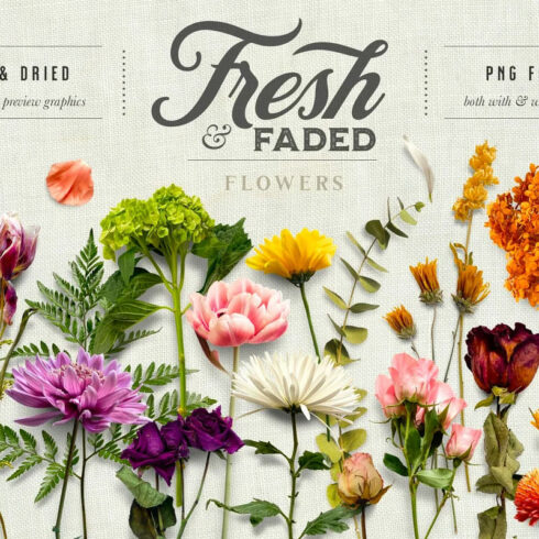 Flower Power Mega Bundle Vol 4 | Master Bundles