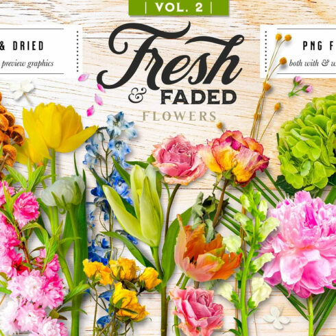 Flower Power Mega Bundle Vol 4 | Master Bundles