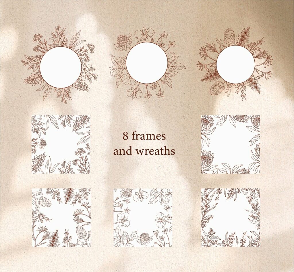 Line Art Australian Native Flowers – MasterBundles