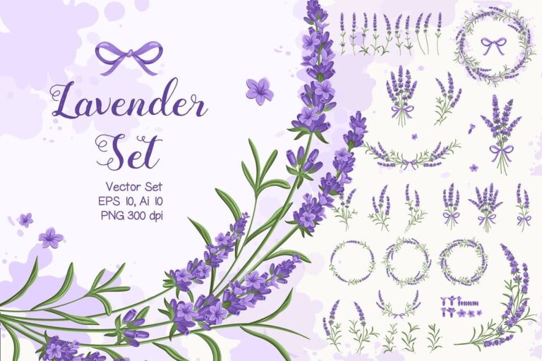 Lavender Set – MasterBundles