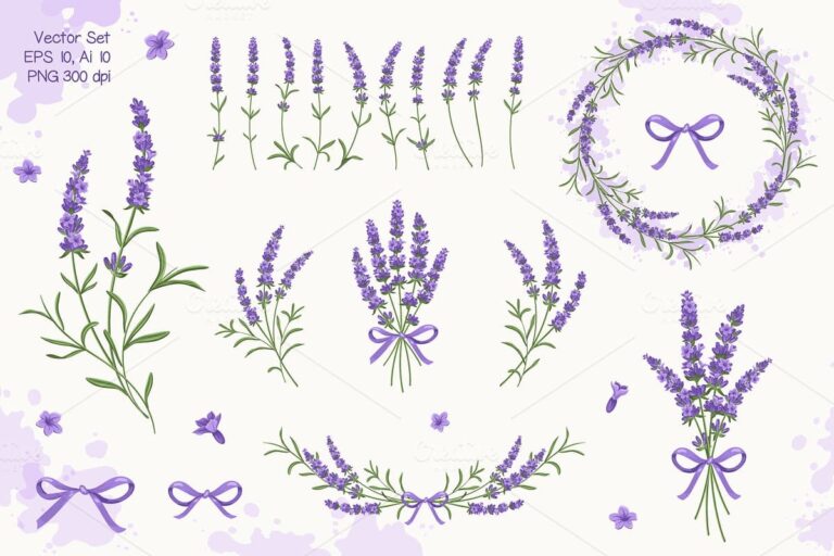 Lavender Set – MasterBundles
