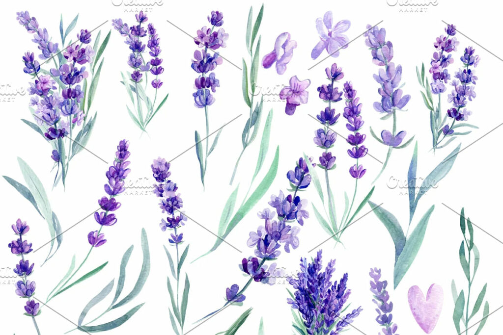 Lavender Watercolor – MasterBundles