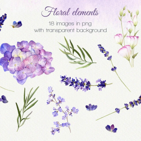 Lilac Provence Watercolor Collection | MasterBundles