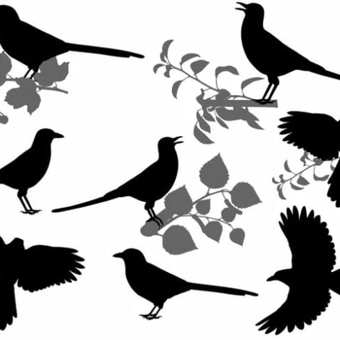 Magpie Pattern | Master Bundles