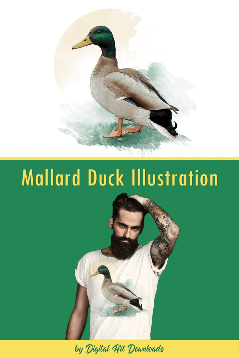 Mallard Duck Illustration – MasterBundles