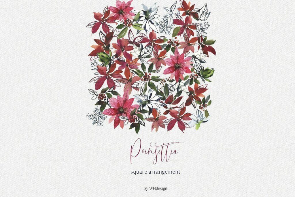 Christmas Poinsettia Clipart – MasterBundles