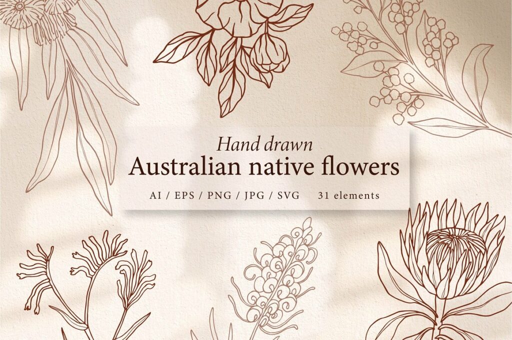 Line Art Australian Native Flowers – MasterBundles
