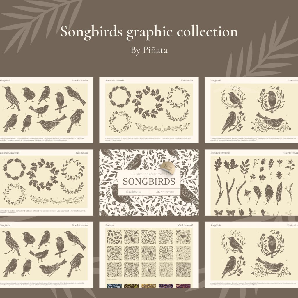 Songbirds Graphic Collection – MasterBundles