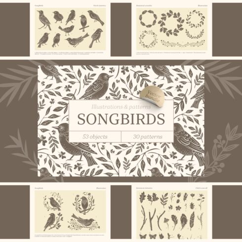 Songbirds Graphic Collection – MasterBundles
