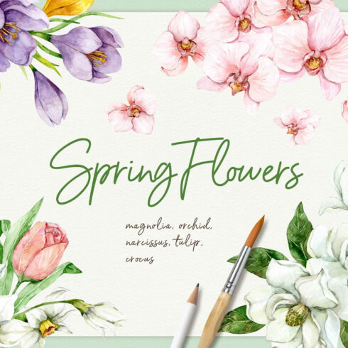 Spring Flowers - Watercolor Clipart | Master Bundles
