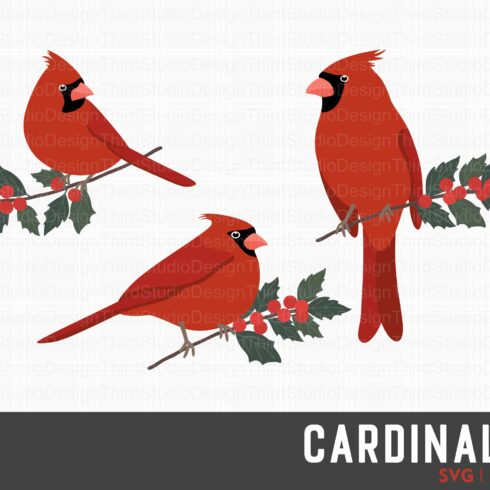 Cardinal Bird Svg Bundle Memorial Svg | Master Bundles