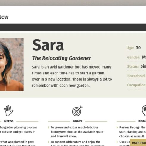 UX Research Bundle: Persona + Report | Master Bundles