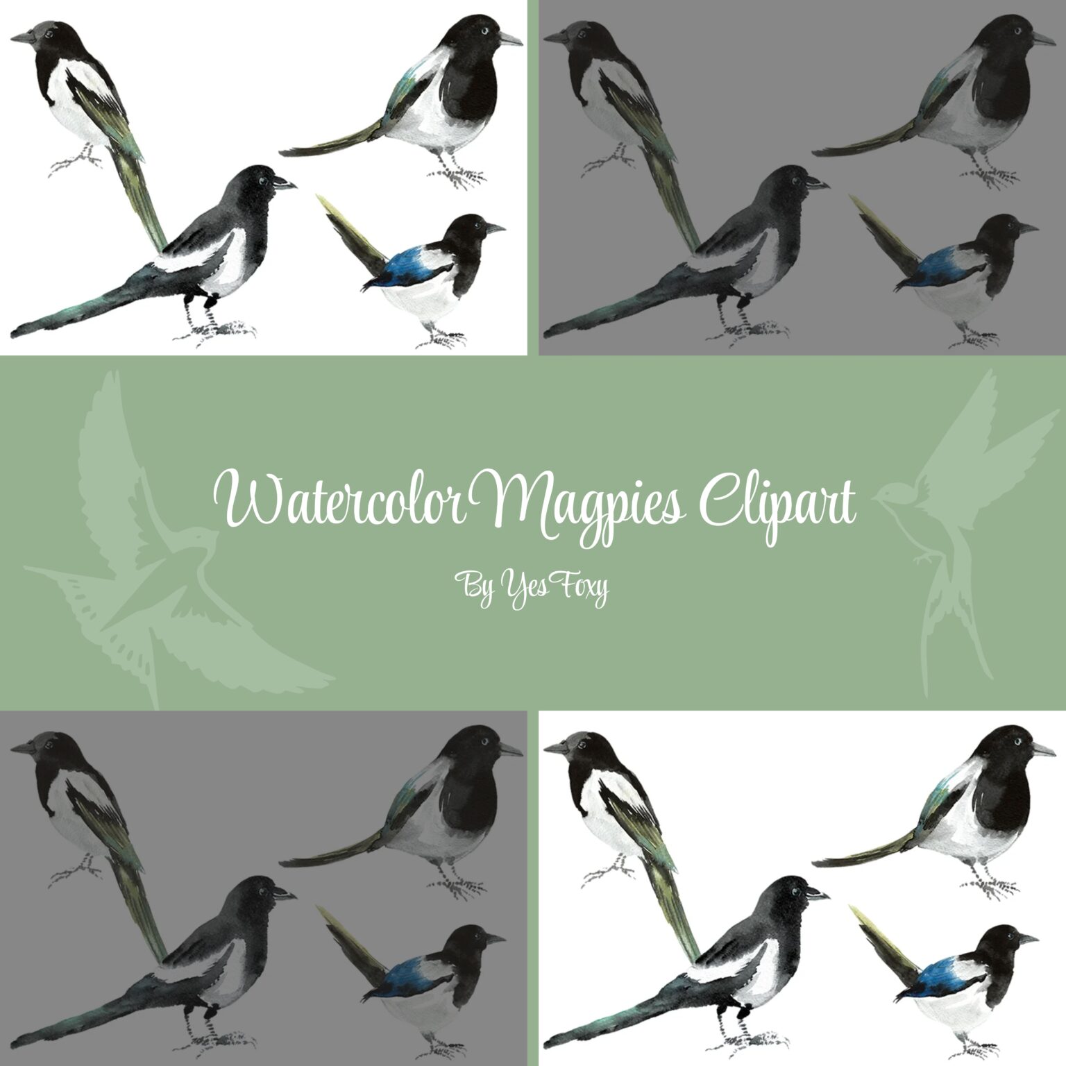 Magpie Vintage Bird illustration Clip Art, Clipart – MasterBundles