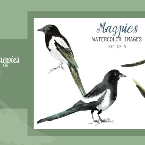Watercolor Magpies Clipart – MasterBundles