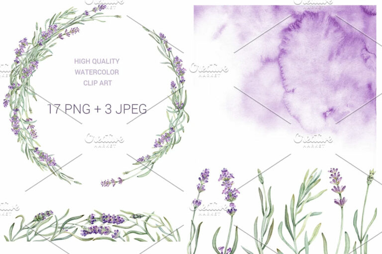 Watercolor Vintage Lavender Clip Art – MasterBundles