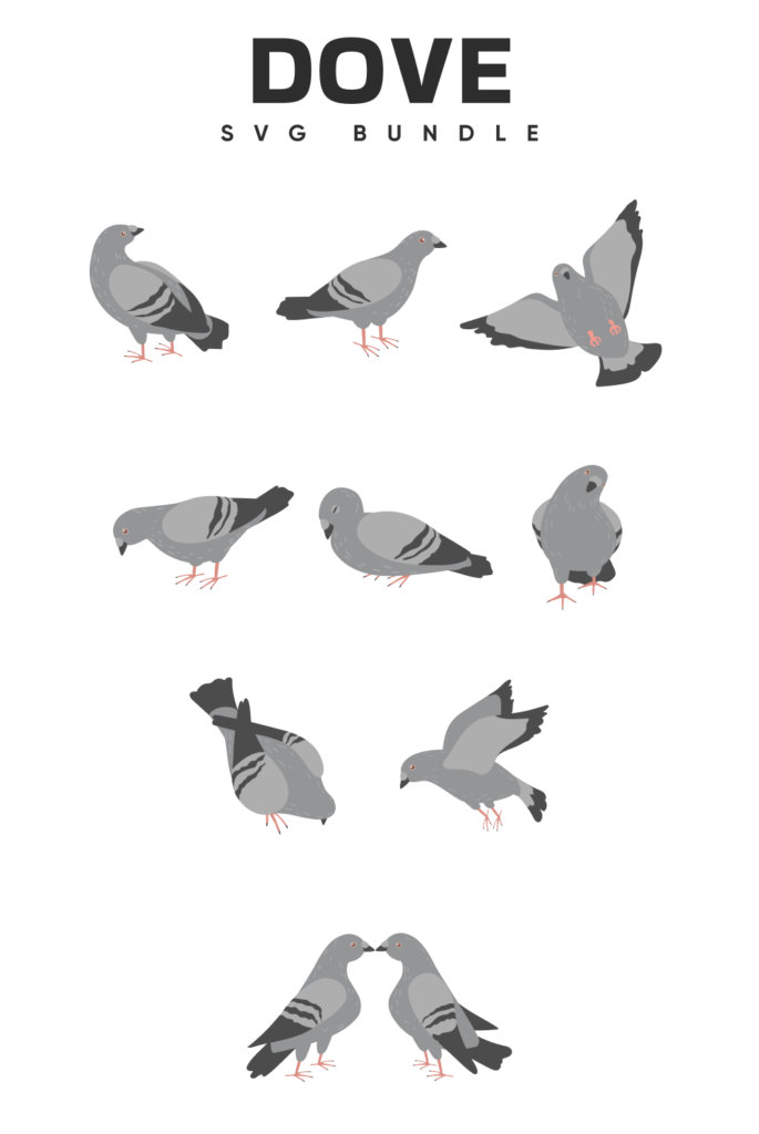 Dove SVG Files Bundle – MasterBundles