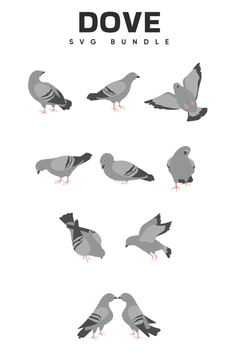 Dove SVG Files Bundle – MasterBundles