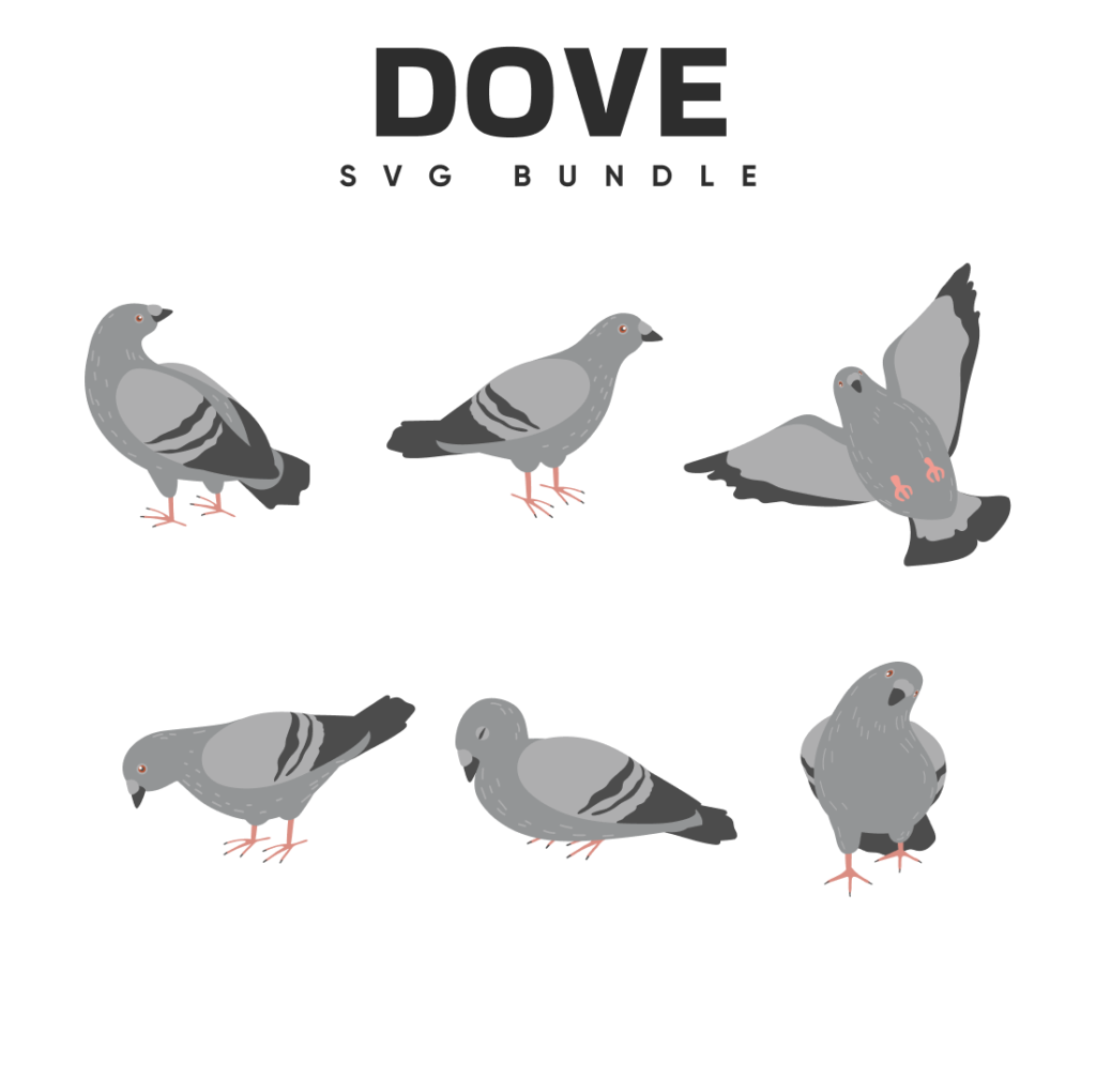Dove SVG Files Bundle – MasterBundles