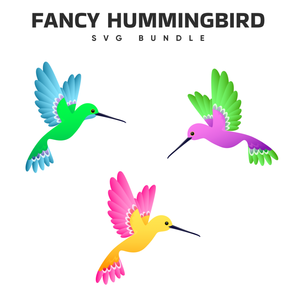 Fancy Hummingbird SVG Designs – MasterBundles