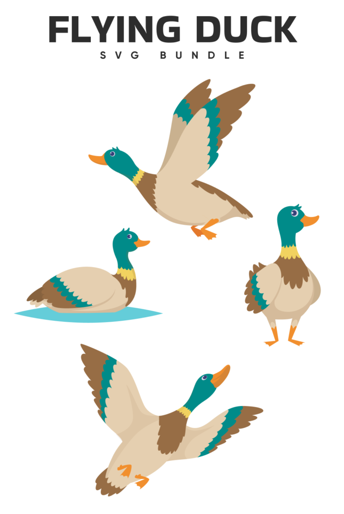 Flying Duck SVG Bundle – MasterBundles