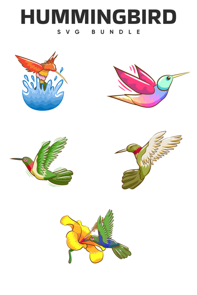 Hummingbird SVG Free – MasterBundles