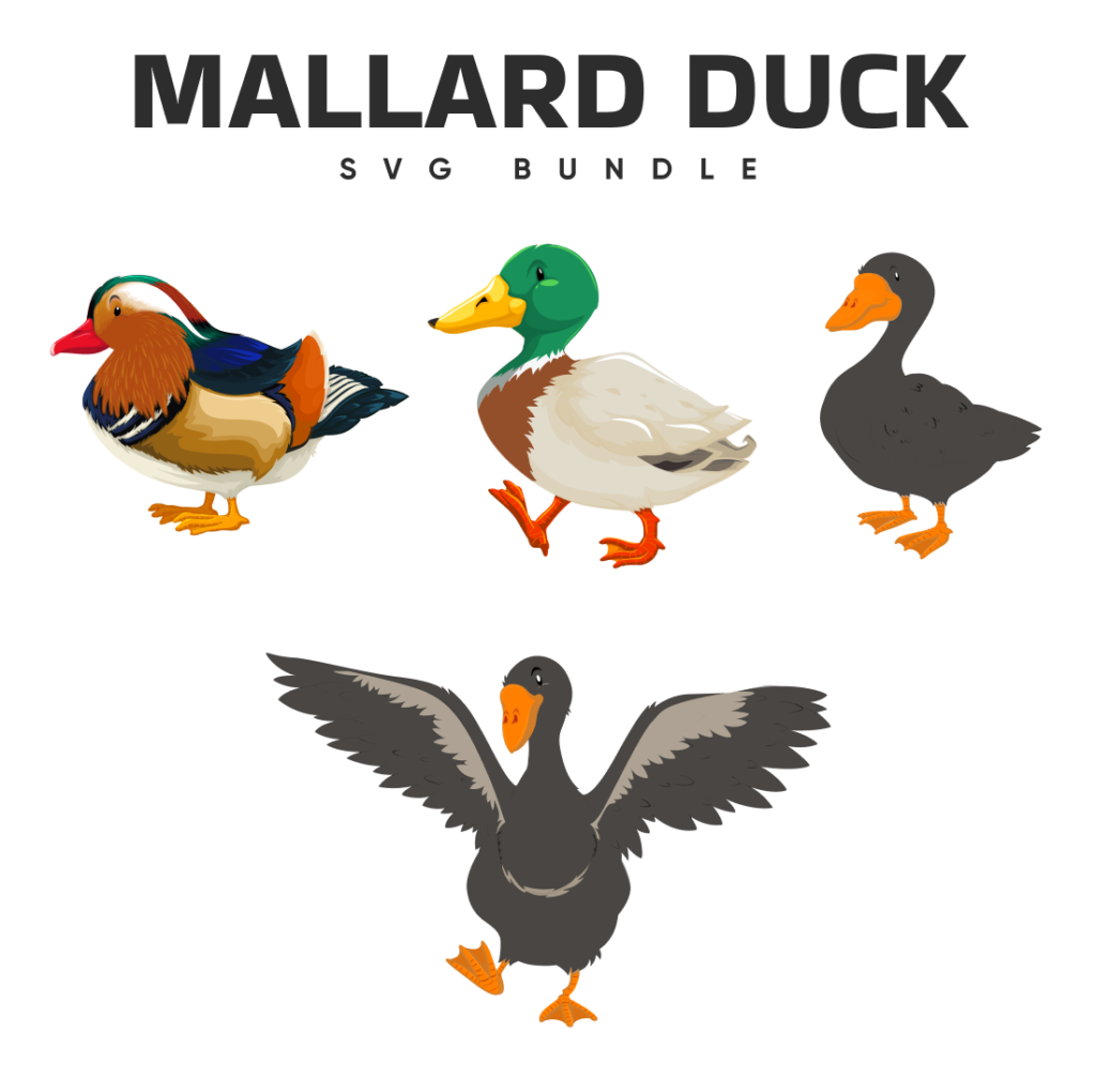 Mallard Duck SVG Files – MasterBundles