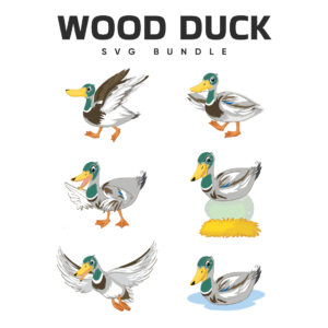 Wood Duck SVG Designs – MasterBundles