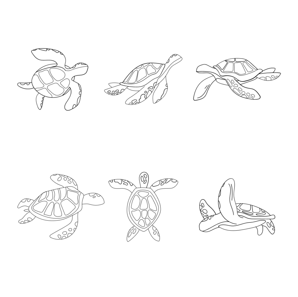 Hawaiian Turtle SVG – MasterBundles