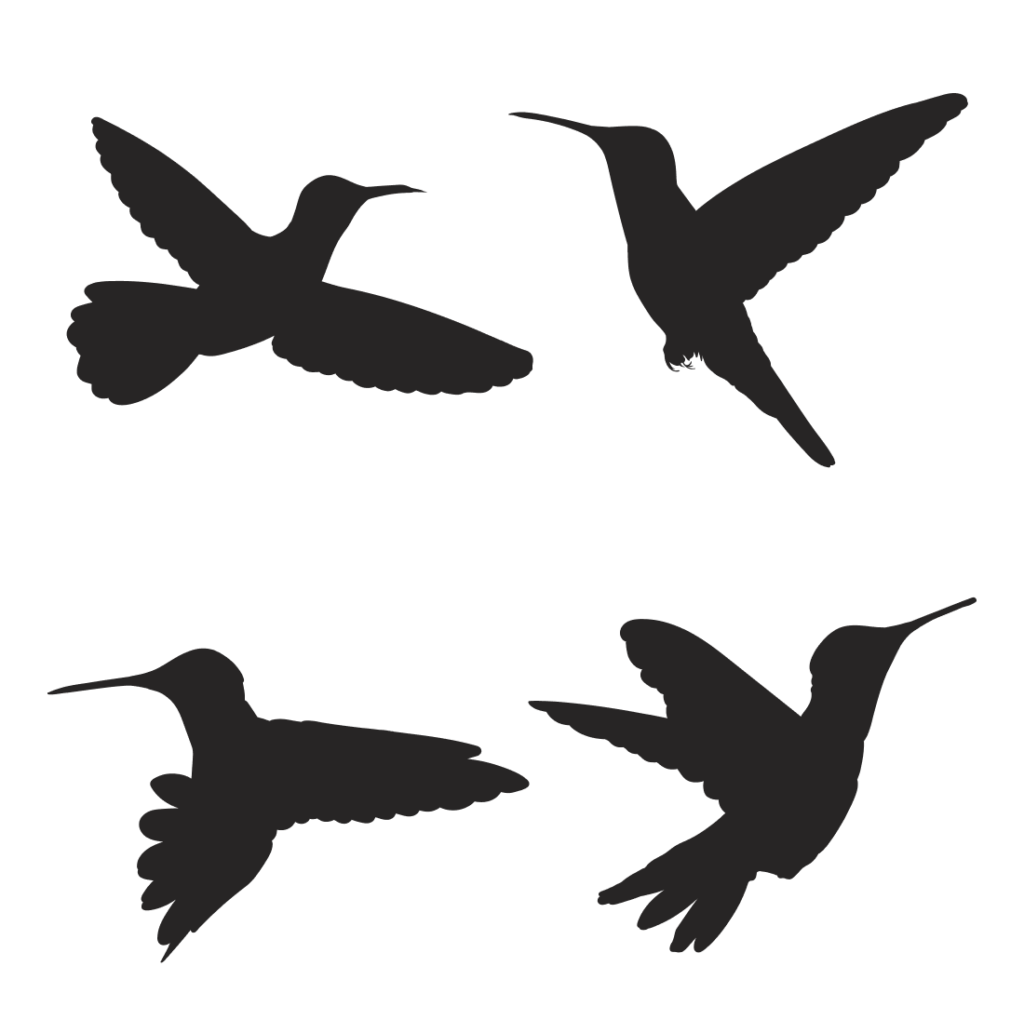 Hummingbird Silhouette SVG Designs – MasterBundles