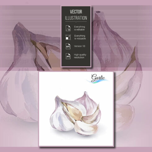 Hand-Drawn Watercolor Painting Garlic – MasterBundles