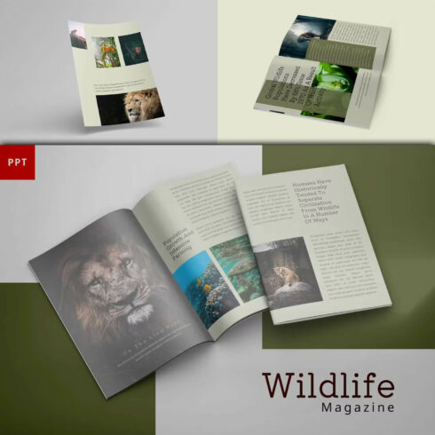 Wildlife - Magazine Powerpoint Template – MasterBundles