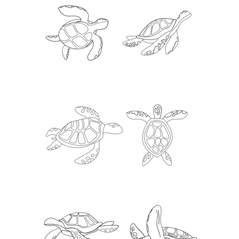 Hawaiian Turtle SVG – MasterBundles