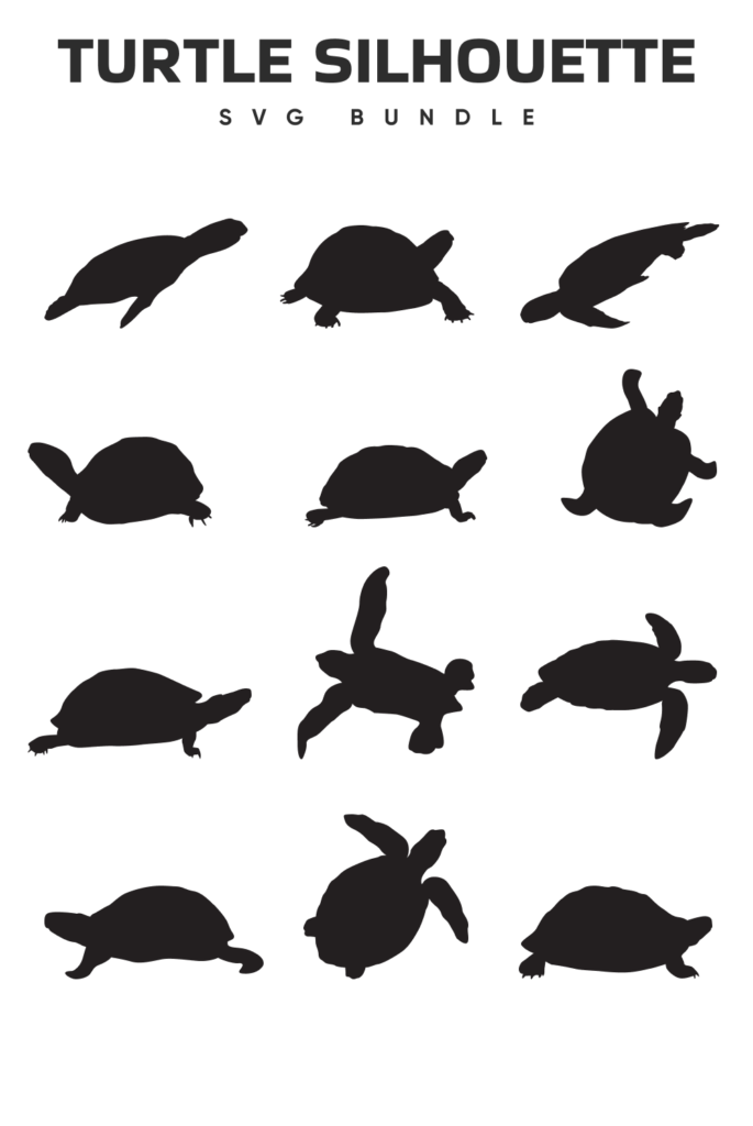 Turtle Silhouette SVG – MasterBundles