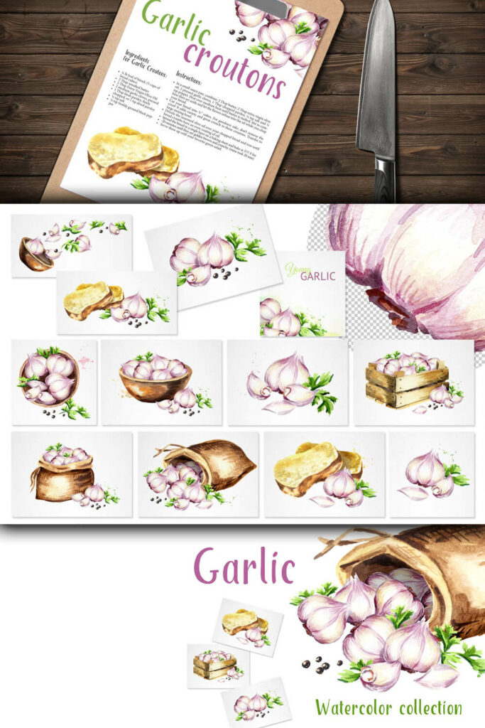Garlic. Watercolor Collection – MasterBundles