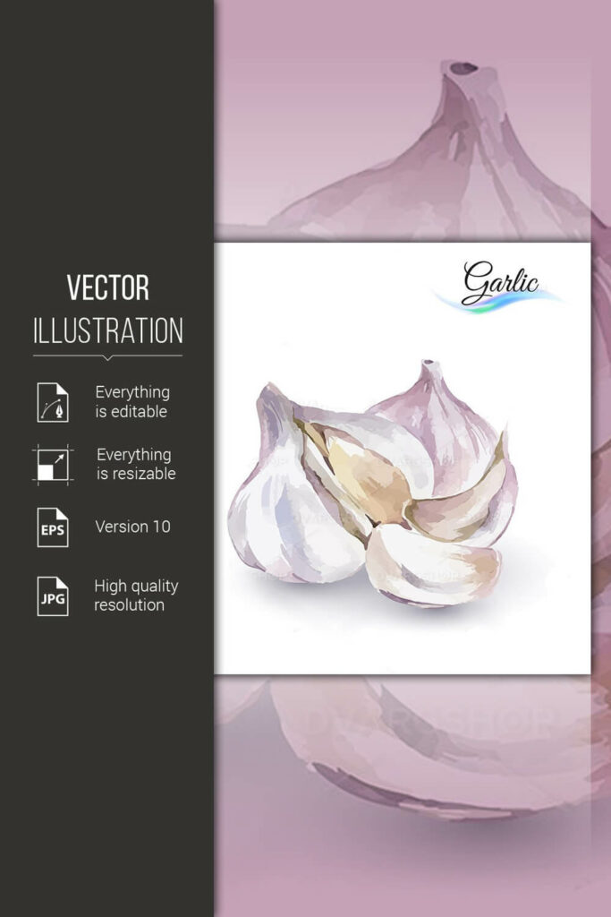 Hand-Drawn Watercolor Painting Garlic – MasterBundles