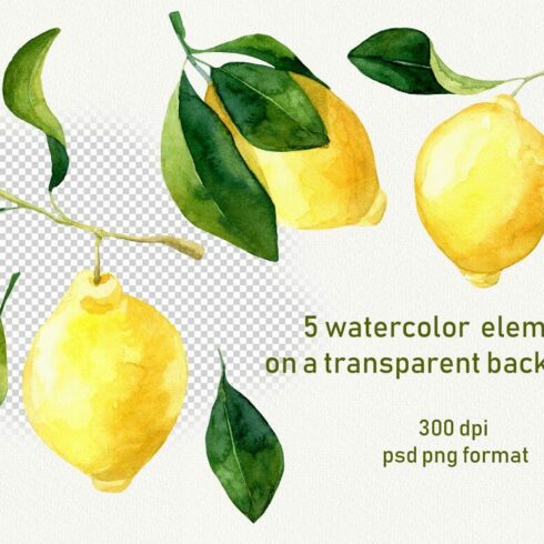 Watercolor Lemon Fruit Clipart | Master Bundles