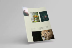 Wildlife - Magazine Powerpoint Template – MasterBundles